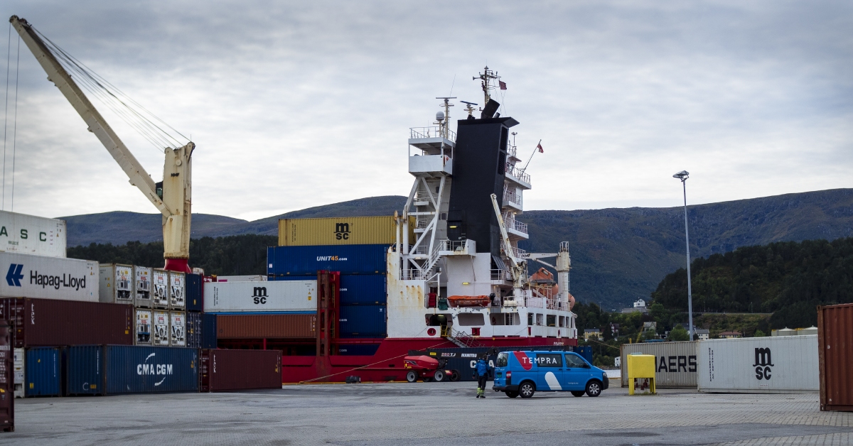 De vanligste størrelsene på containere